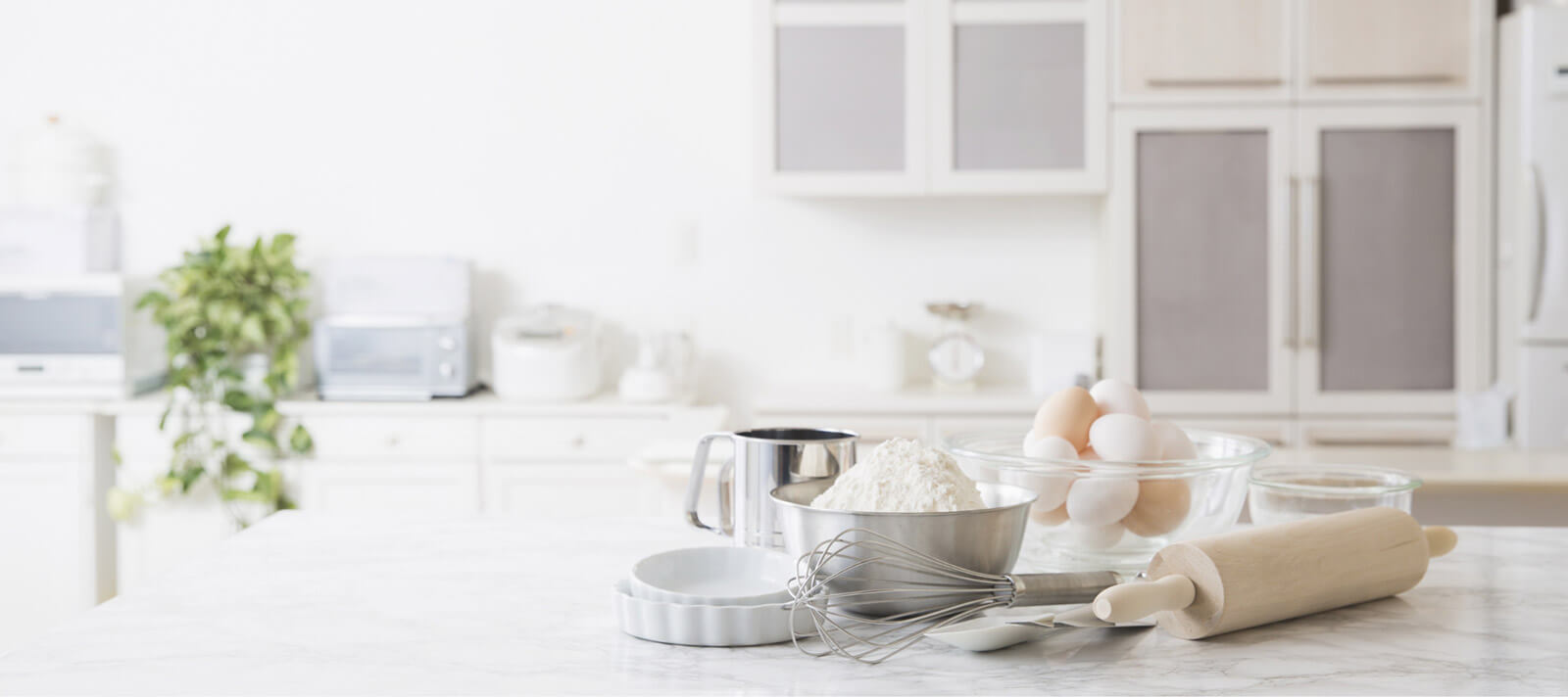 Work with us | Progressive International